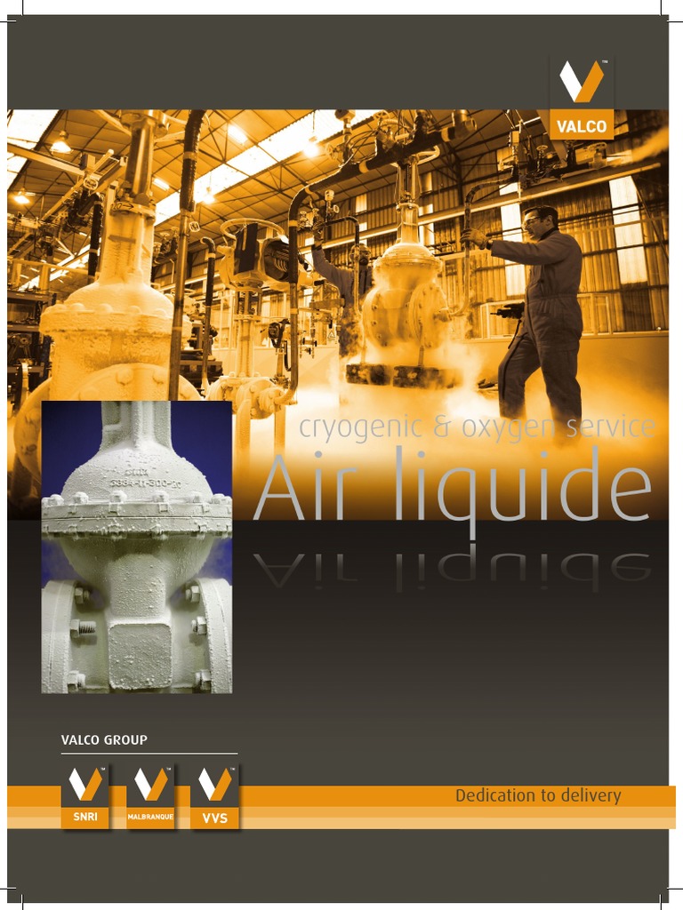 Brochure - Valco - Air Liquide Valves - English | Download Free PDF ...