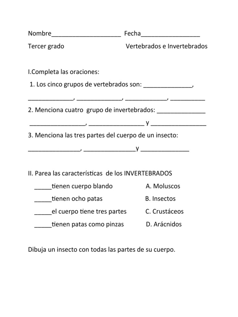 Examen Tercero Vertebrados e Invertebrados | PDF