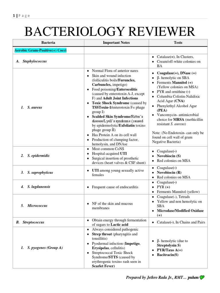 Aerobic Gram-Positive Cocci Bacteriology Reviewer: Important Notes and ...