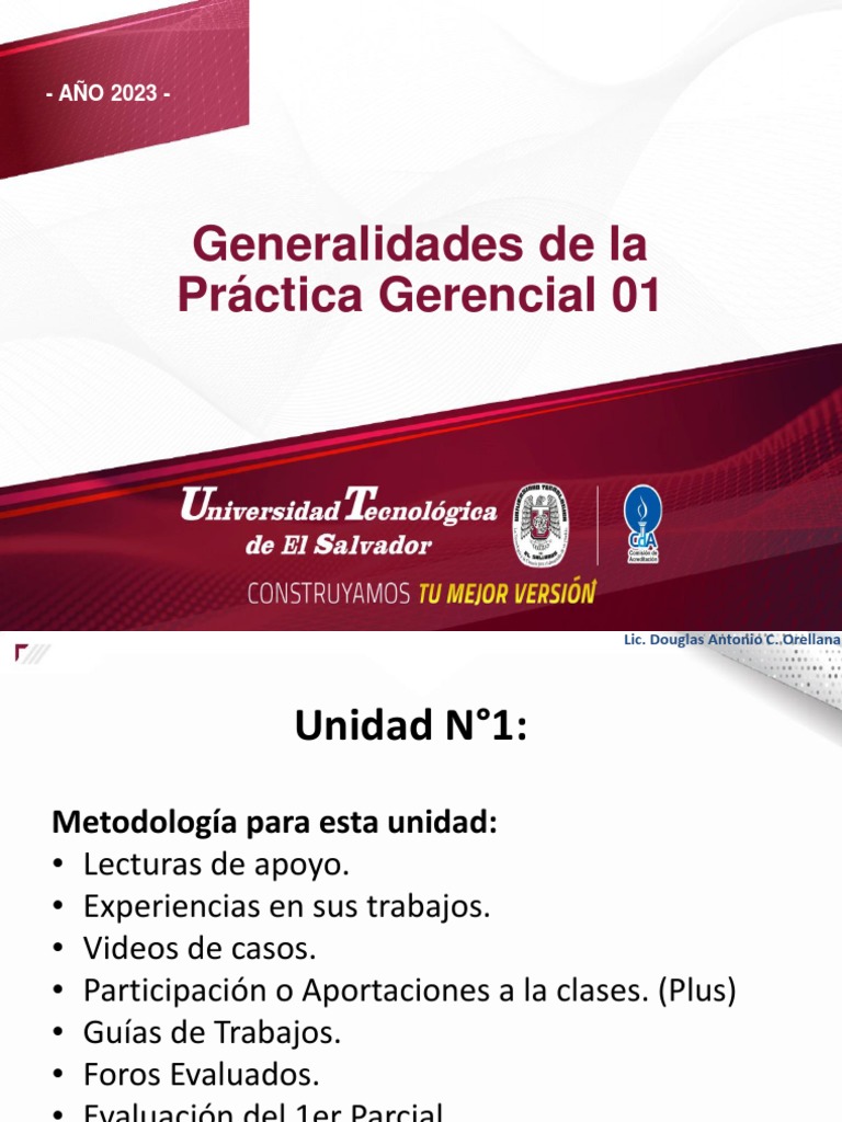Generalidades de La Práctica Gerencial 01 | PDF
