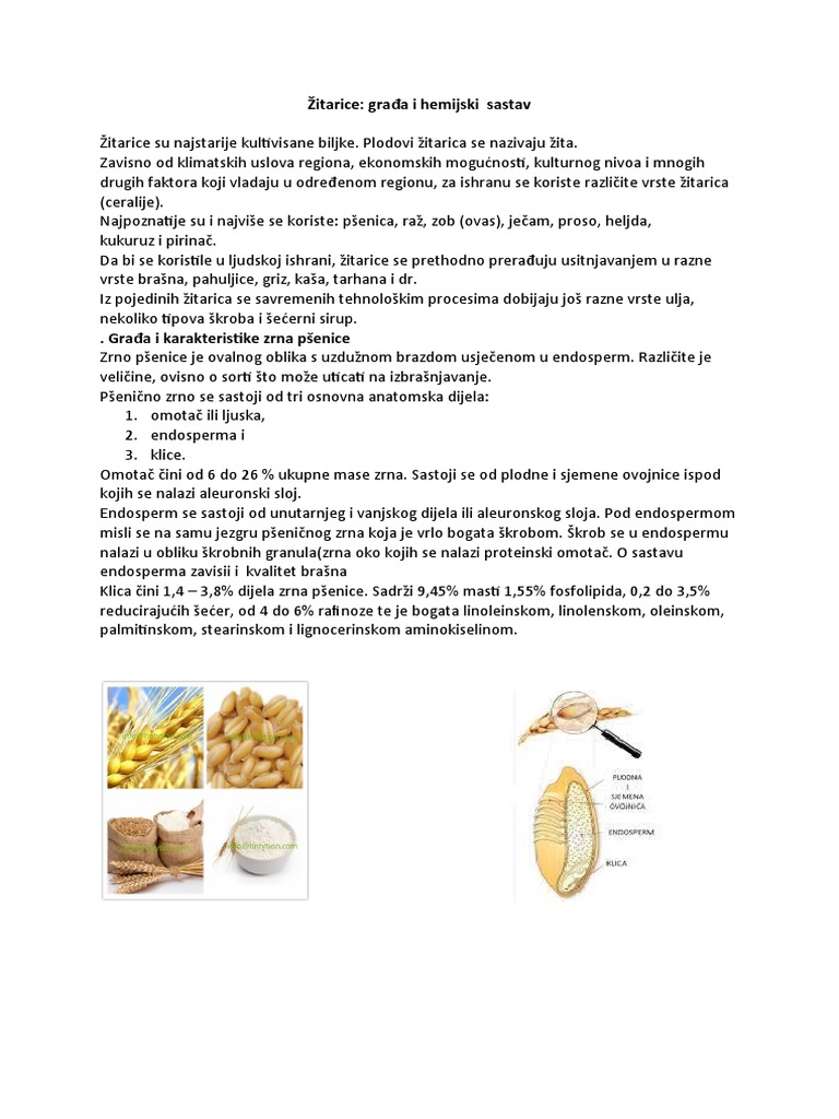 Žitarice: Građa I Hemijski Sastav | PDF