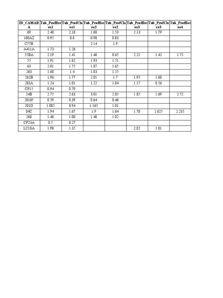 Formato Levantamiento Cajas de Inspección | PDF