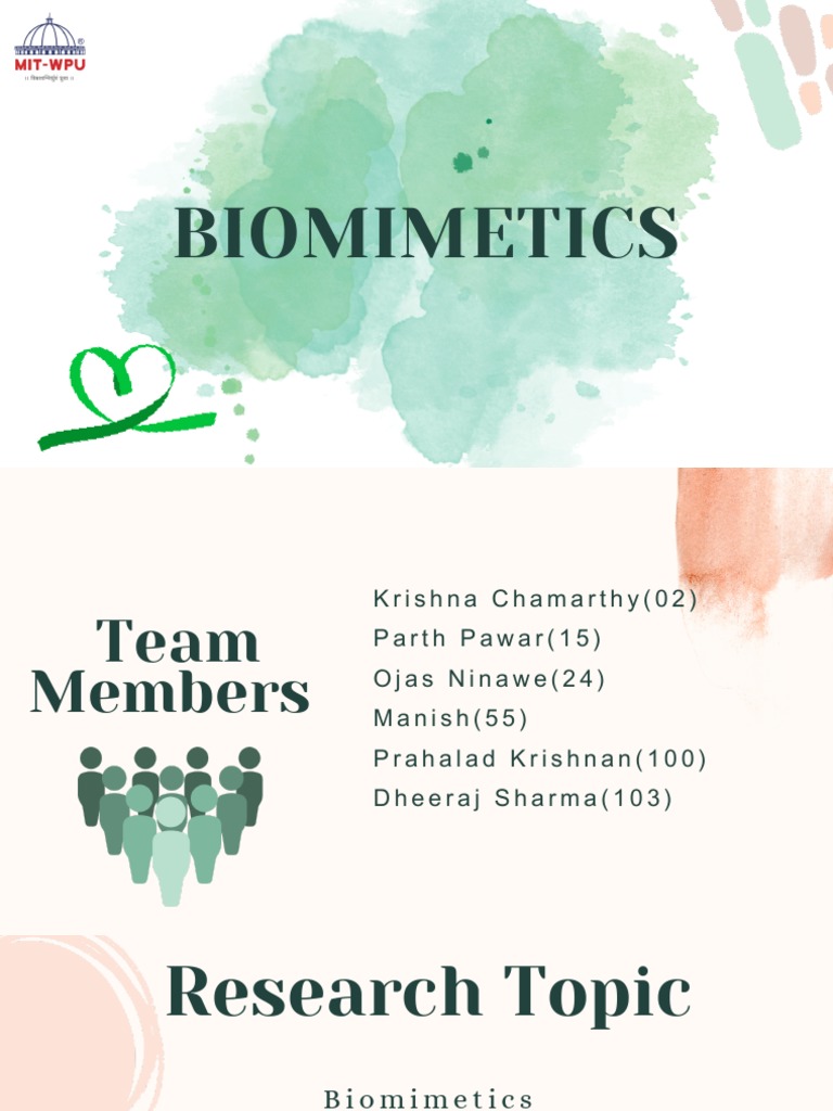 Biomimetics Presentation | PDF