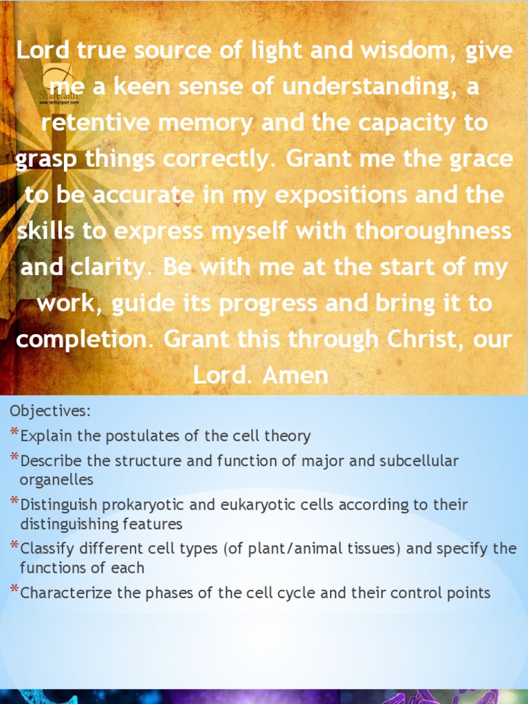 Grade 12 Gen - Bio Lesson 1 | PDF | Cell (Biology) | Biology