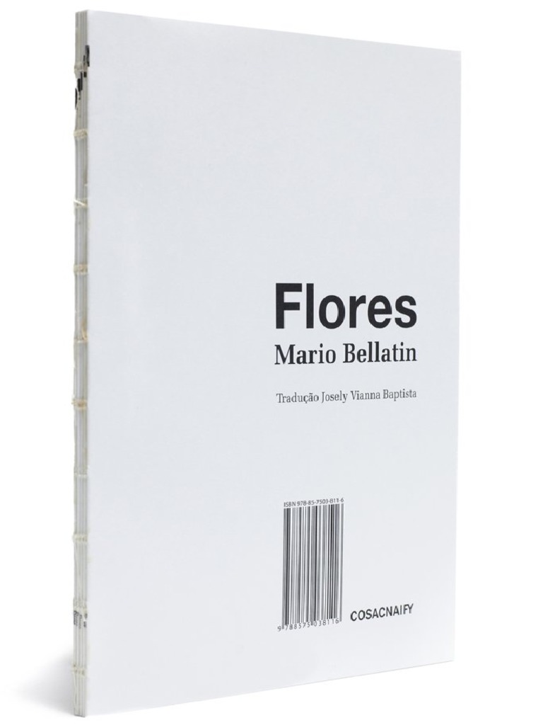 Resumo Flores Colecao Particular Mario Bellatin | PDF