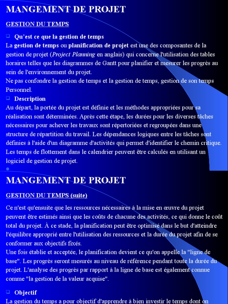Management de Projet | PDF | Gestion des risques | Business