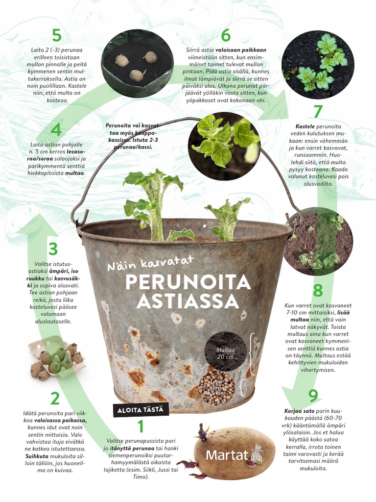 Perunan Kasvatus | PDF