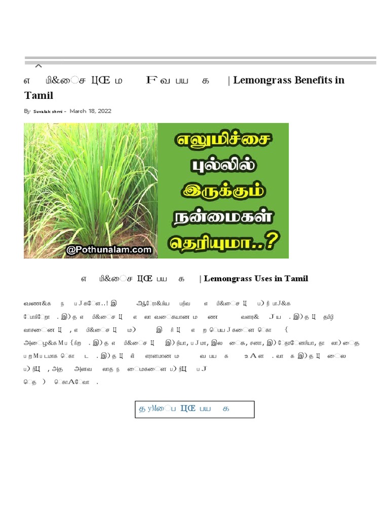 எ மி&ை ச ЦŒ ம F வ பய க - Lemongrass Benefits in: Tamil | PDF