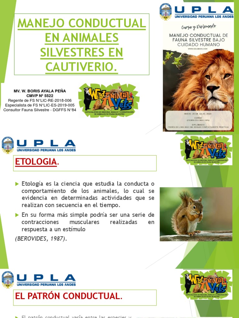 13.GRUPO PRACT-MANEJO CONDUCTUAL.pdf | PDF | Comportamiento | Planificación