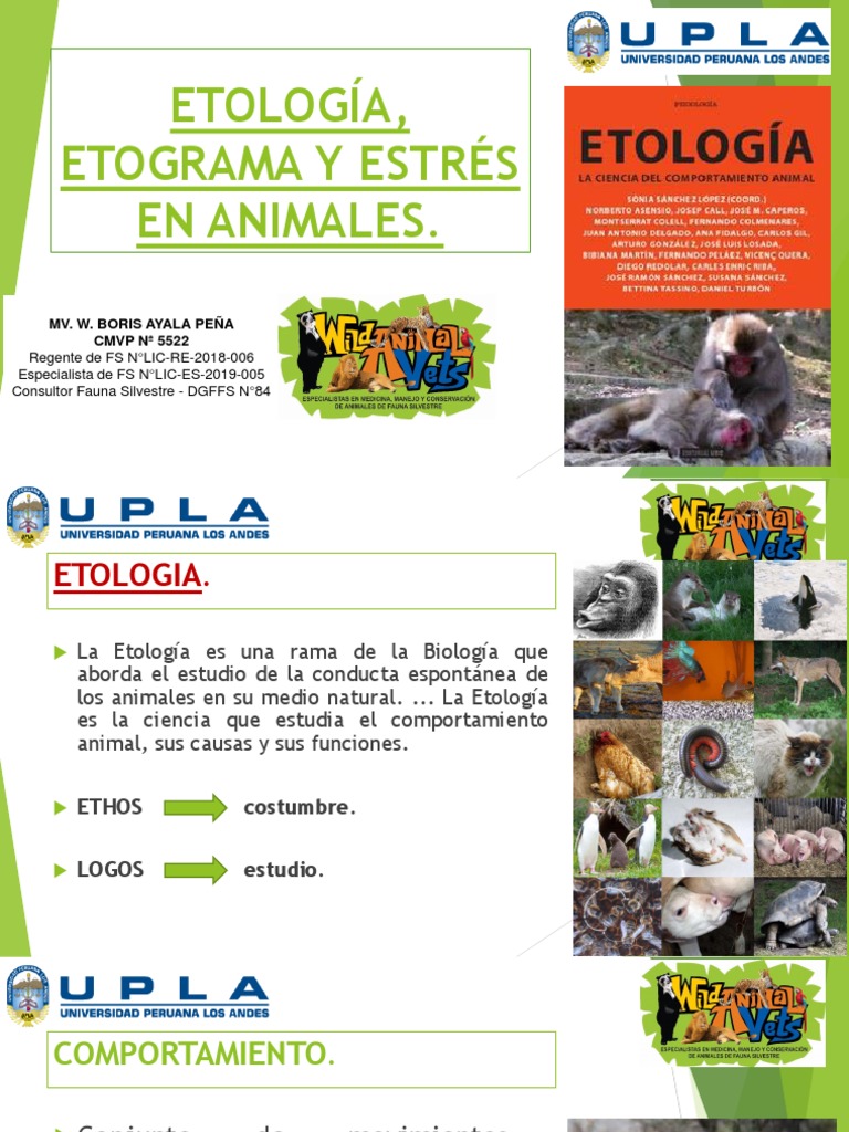 Upo Pract-Etologia y Etograma PDF | PDF | Etología | Comportamiento