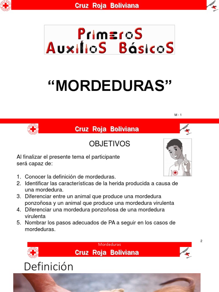Tipos y Primeros Auxilios de Mordeduras | PDF | Rabia | Serpiente