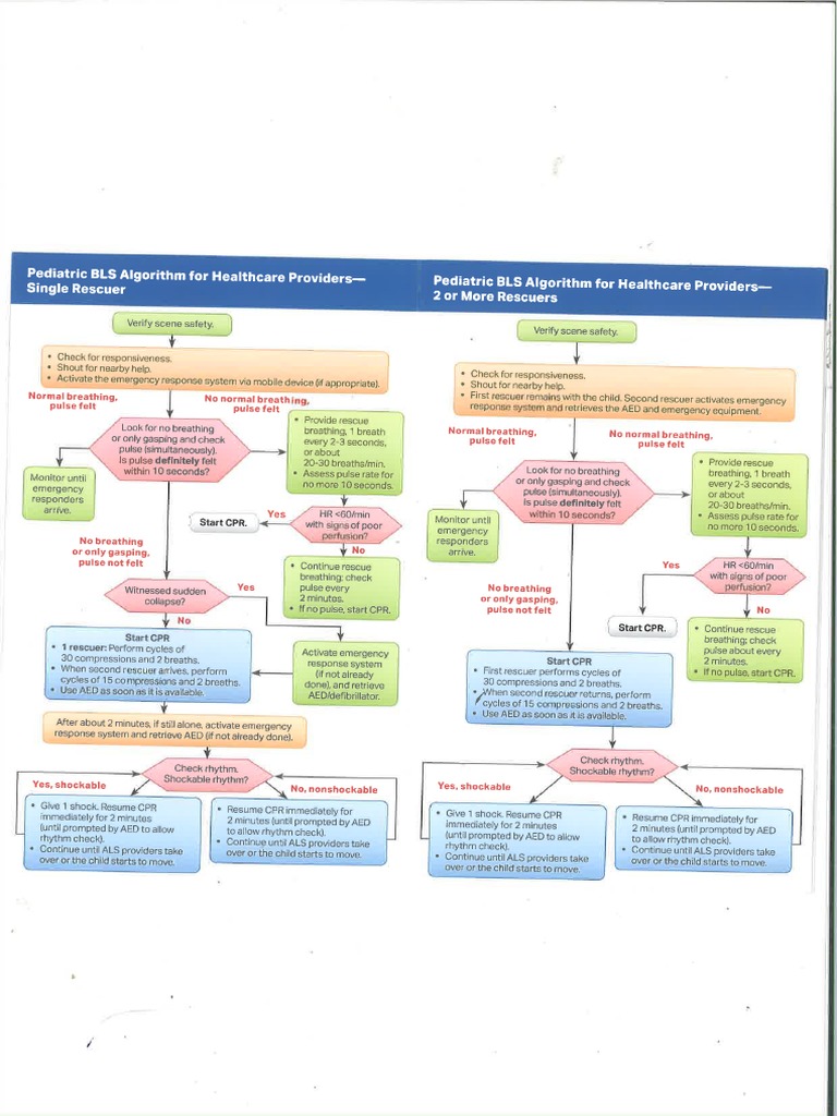 5 BLS Pediatric | PDF