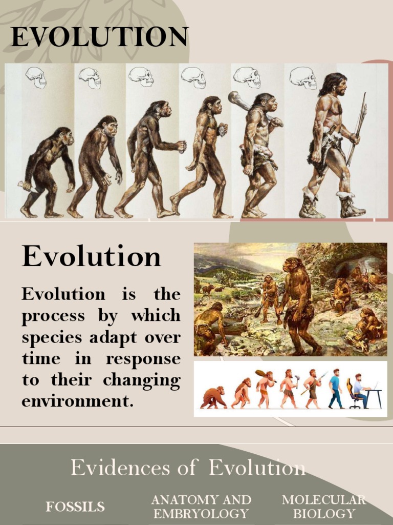 Evolution Review | PDF | Evolution | Biology