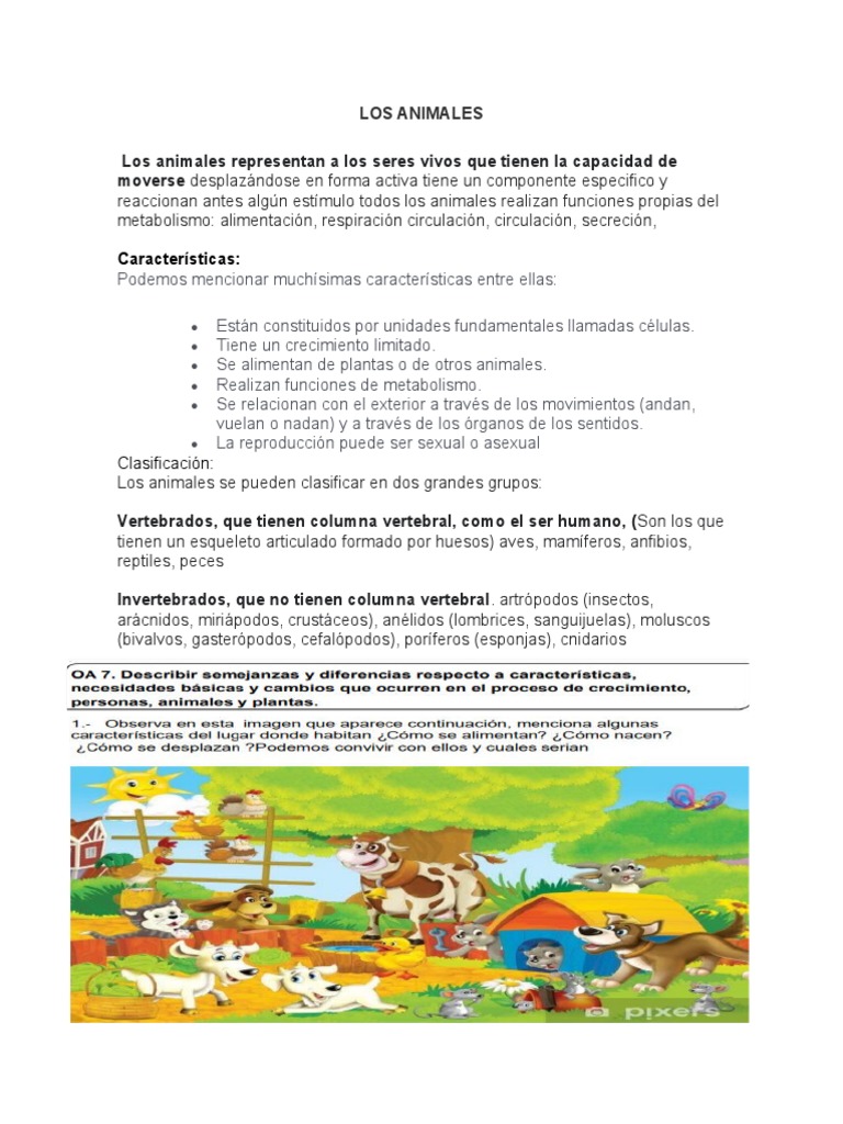 Características y Clasificación de Animales | PDF