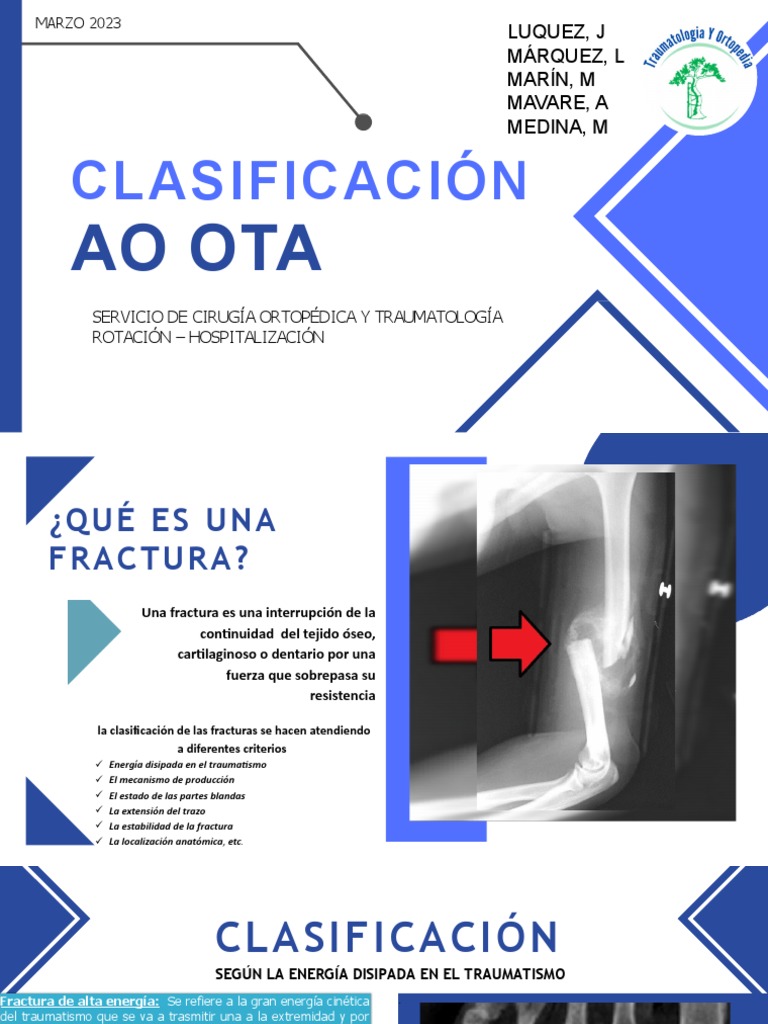 Clasificación: Ao Ota | PDF | Hueso | Lesión