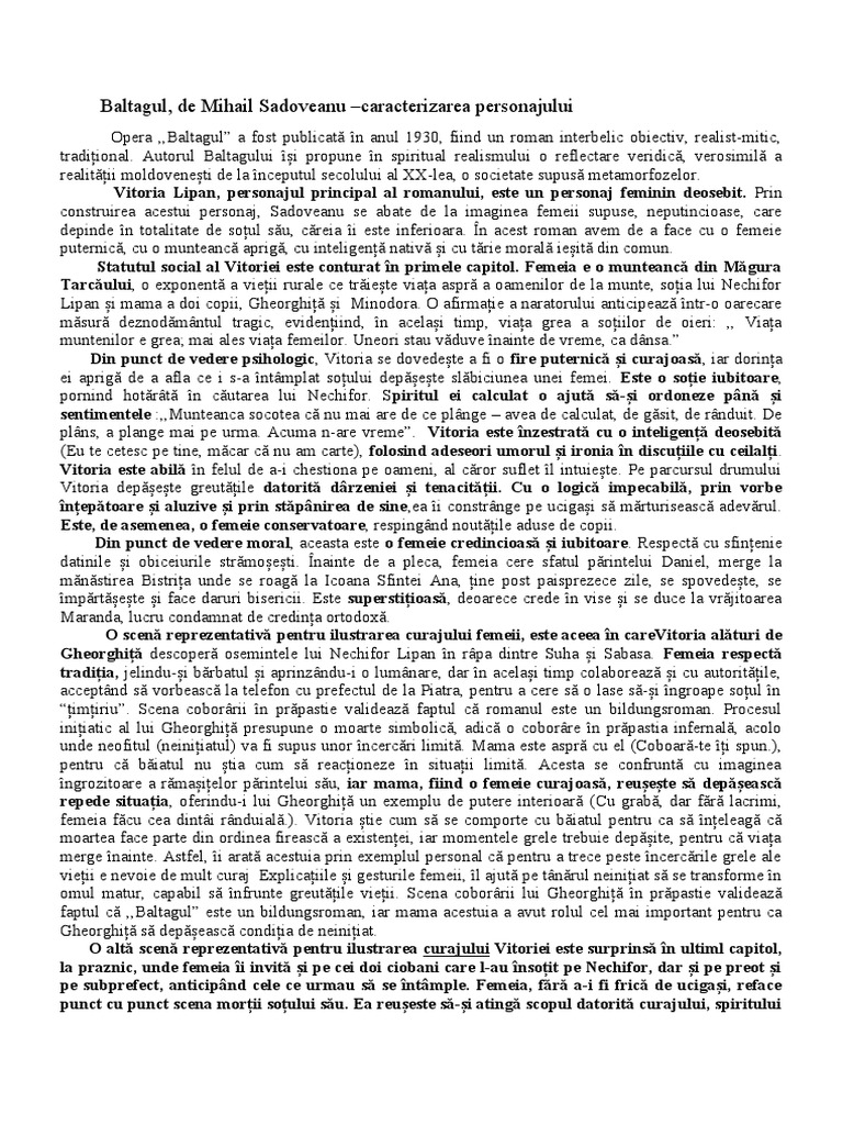 Baltagul Caracterizare Baltagul Curaj | PDF