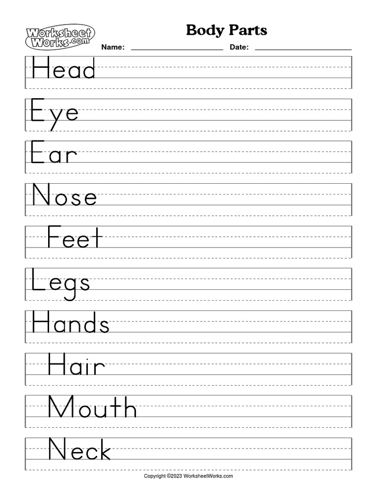 body-parts-name-date-pdf