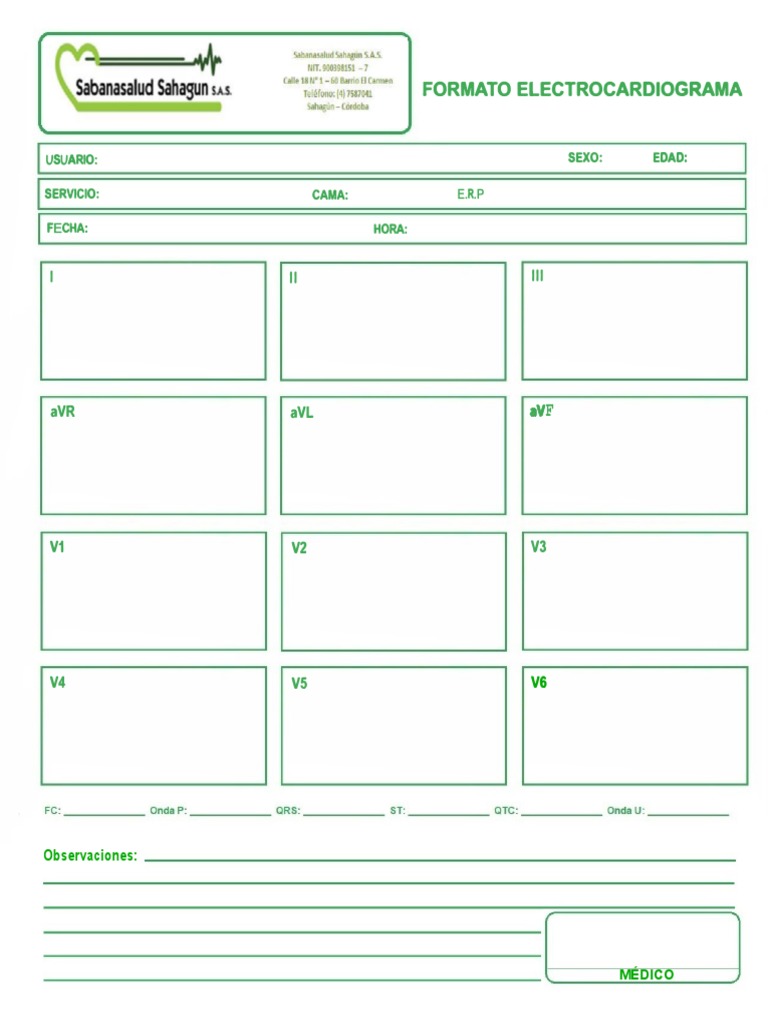 Formato de Ekg | PDF