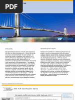 Guia Passo-A-Passo: Como Gerar Relatórios em Background No Sap | PDF | Informática | Programas