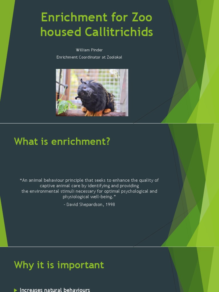 Enrichment For Zoo Housed Callitrichids: William Pinder Enrichment ...