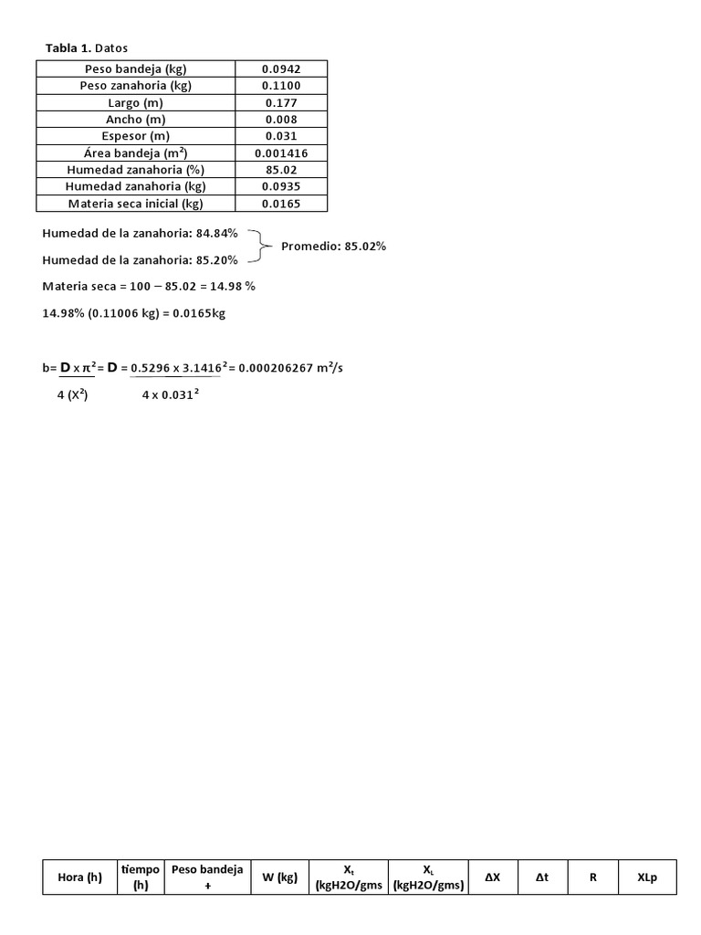 Práctica de SECADO Zanahoria | PDF