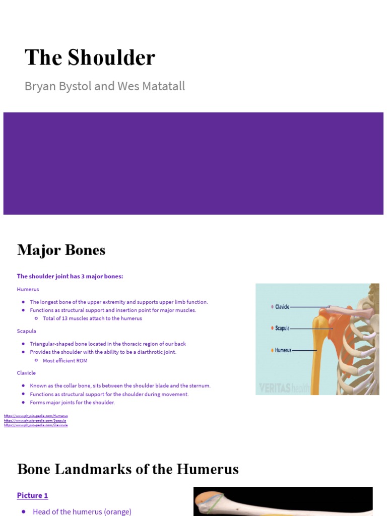 Shoulder Presentation | PDF | Shoulder | Anatomical Terms Of Motion