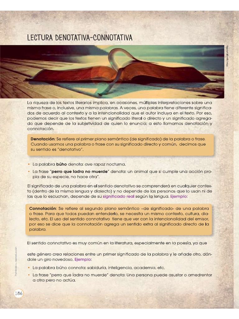 Lectura denotativa connotativa | PDF