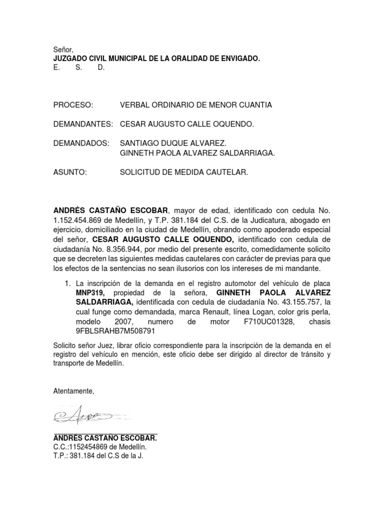 Formato Medidas Cautelares | PDF