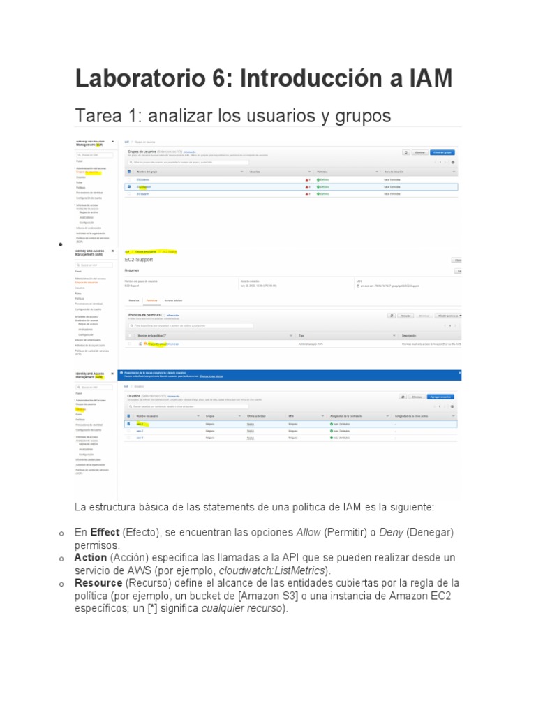 Laboratorio 6 Introducción A IAM | PDF