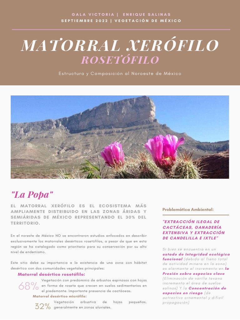 Matorral Xerófilo en México: Flora y Fauna | PDF | Desierto | Organismos