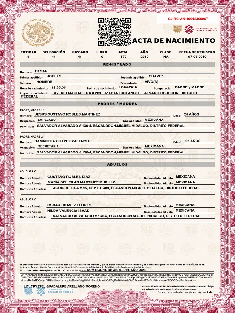 Acta de Nacimiento: Entidad Delegación Juzgado Libro Acta AÑO Clase Fecha de Registro | PDF ...