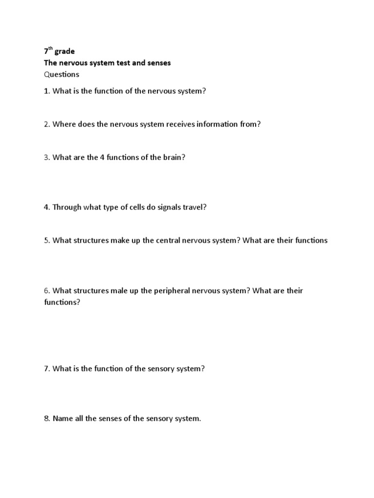7th Grade Test Nervous System and Sensory System | PDF
