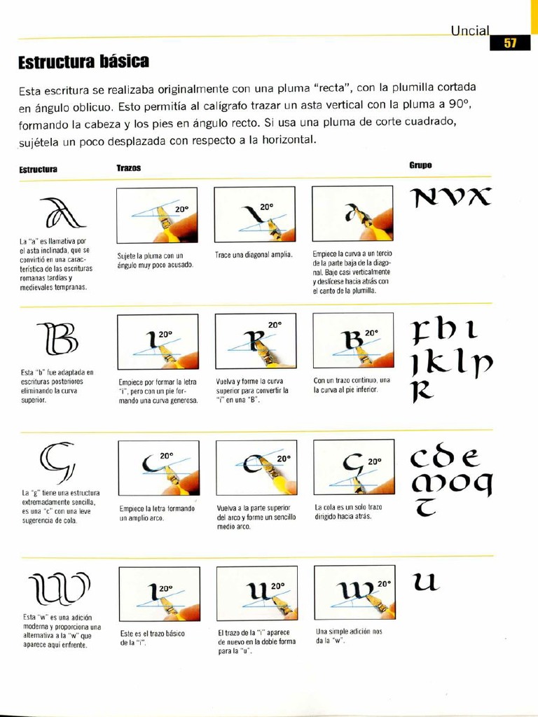 Estruc Basi Uncial | PDF