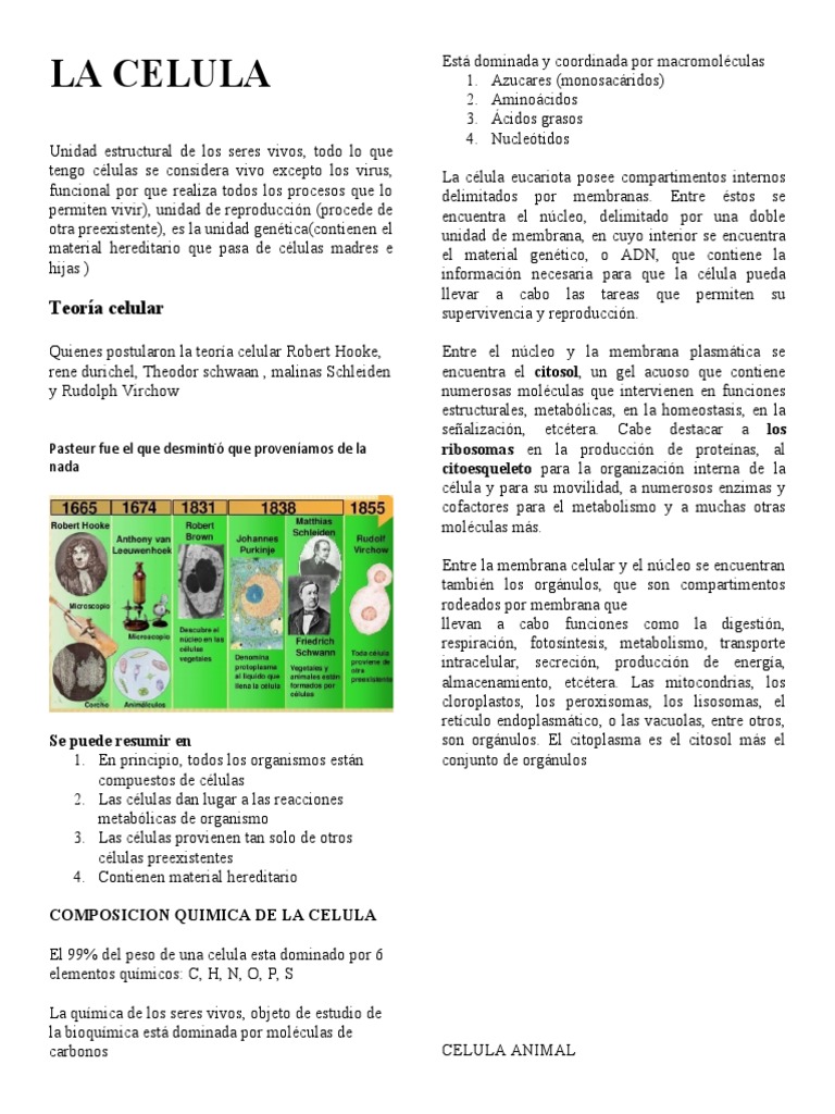 La Celula | PDF | Nucleo celular | Citoplasma