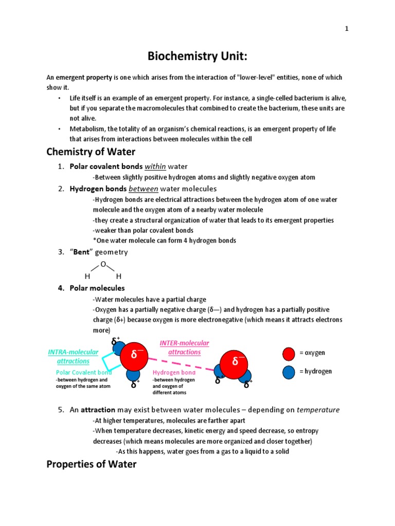 Properties of Water in Biology | PDF | Nucleotides | Carbohydrates