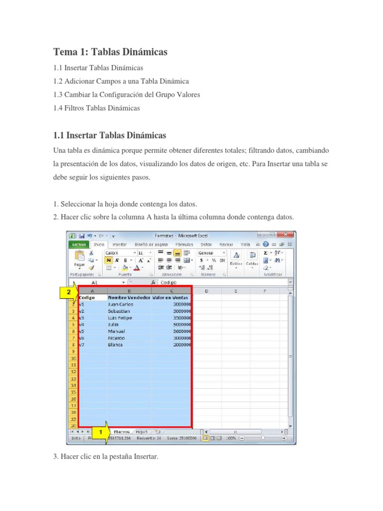 1.1 Insertar Tablas Dinámicas | PDF | Contraseña | Macro (informática)