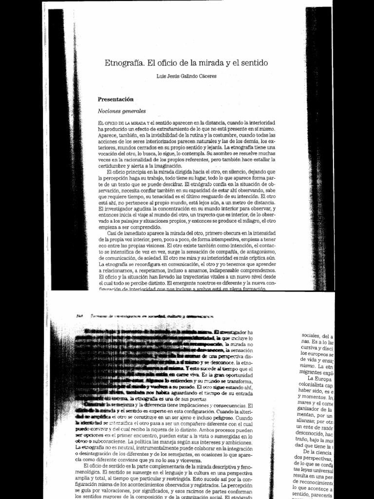 Etnografia Jesús Galindo | PDF