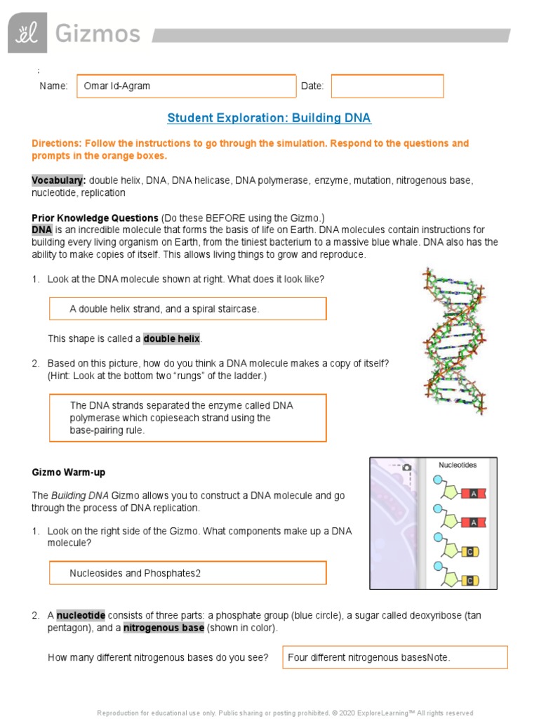 Omar - BuildingDNASE | PDF | Dna | Dna Replication