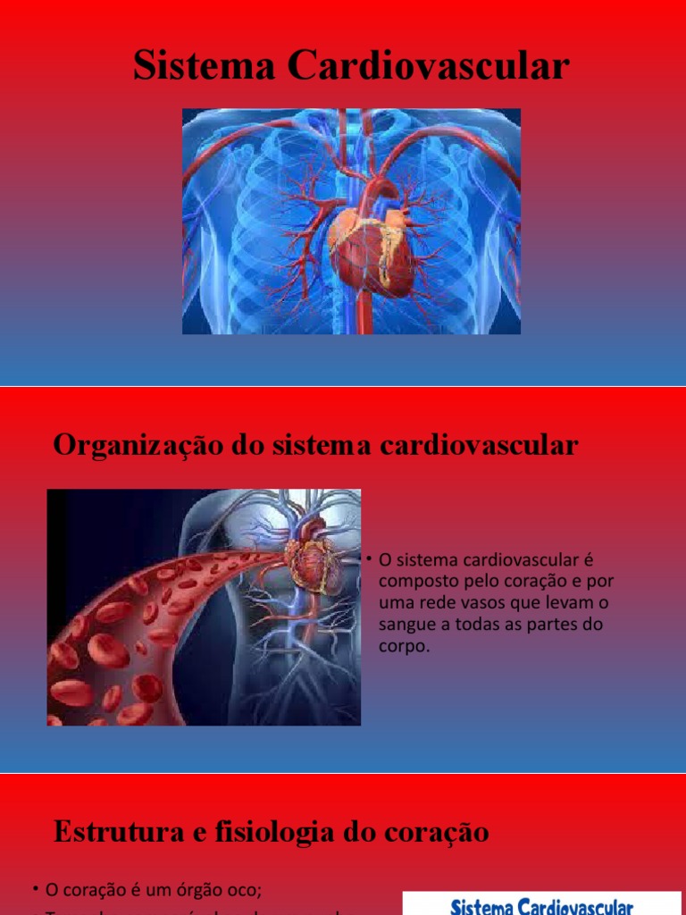 Sistema Circulatório | PDF | Sistema circulatório | Coração