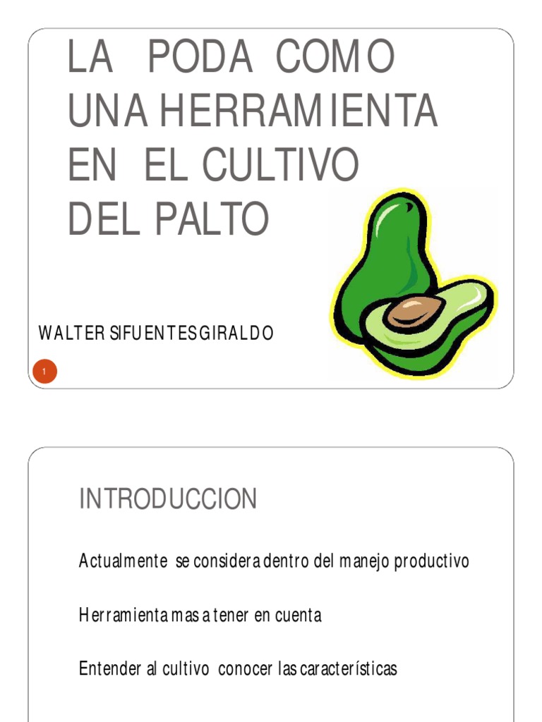 Poda de Paltos | PDF | Arboles