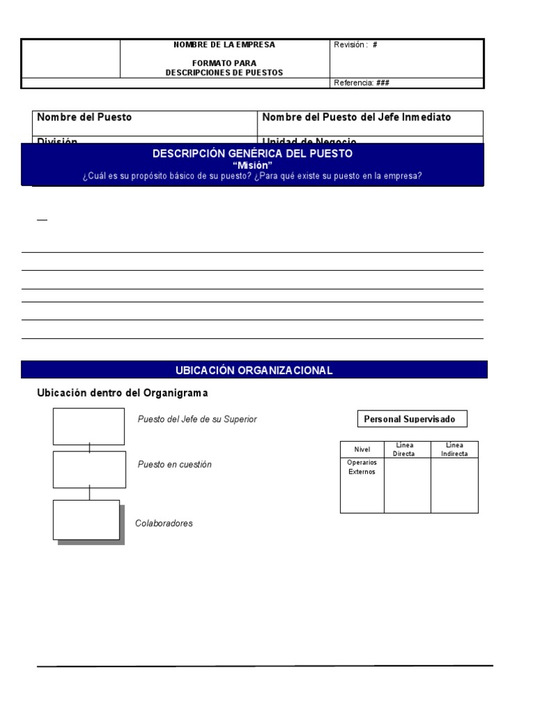 Formato Descripcion y Perfil de Puestos | PDF | Business