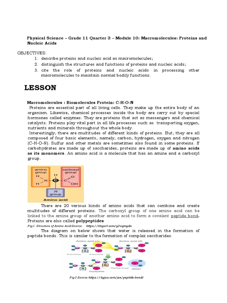 Lesson: Physical Science - Grade 11 Quarter 3 - Module 10: Macromolecules: Proteins and Nucleic ...