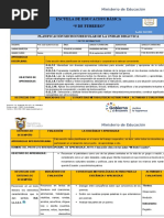 Plan de Clases Lengua y Literatura | PDF | Maestros | Planificación