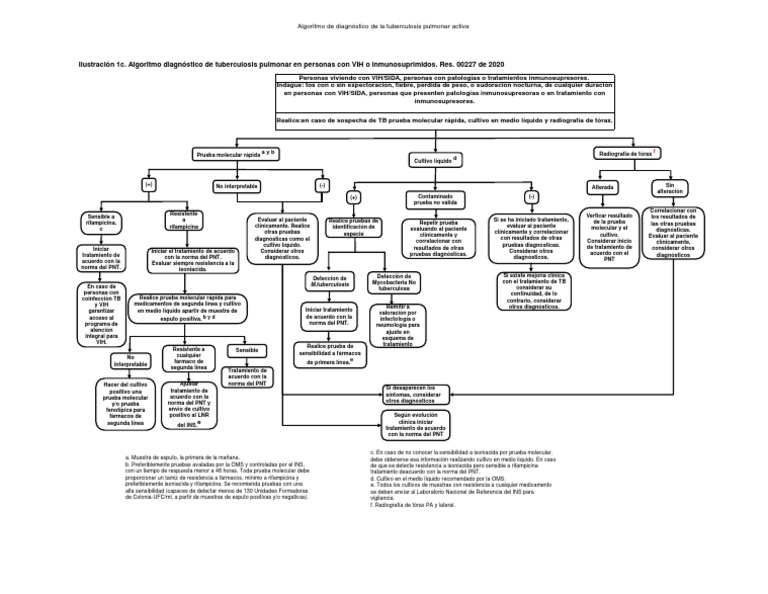 Algoritmo diagnóstico de tuberculosis pulmonar en personas con VIH o ...