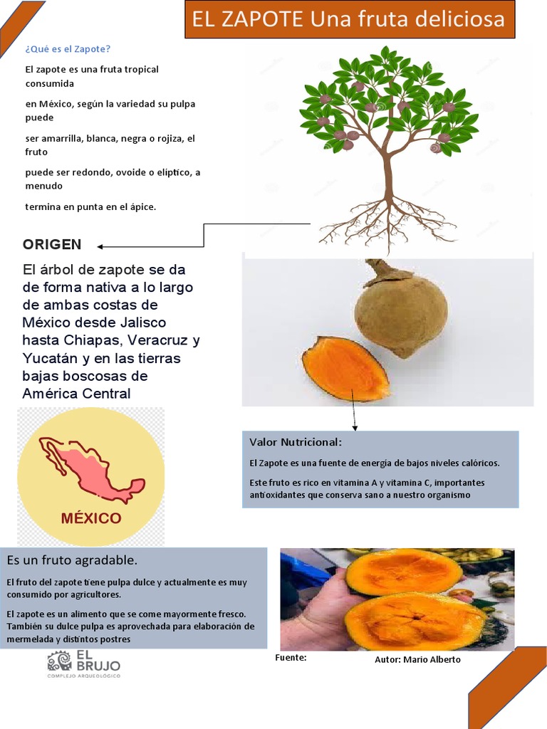 Origen: El Árbol de Zapote | PDF