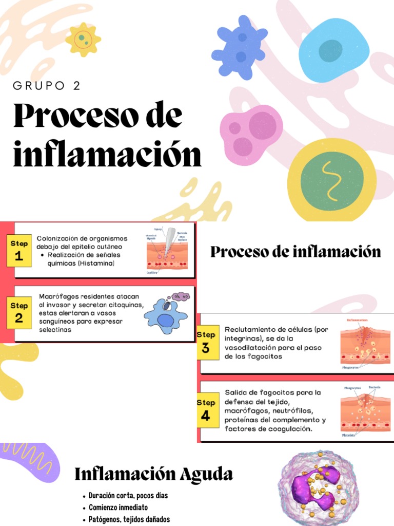 Tipos y Procesos de Inflamación | PDF