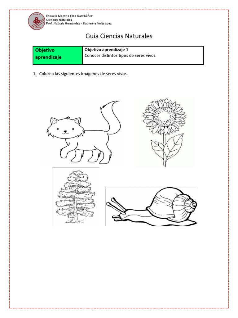 GUIA Ciencias Seres Vivos | PDF