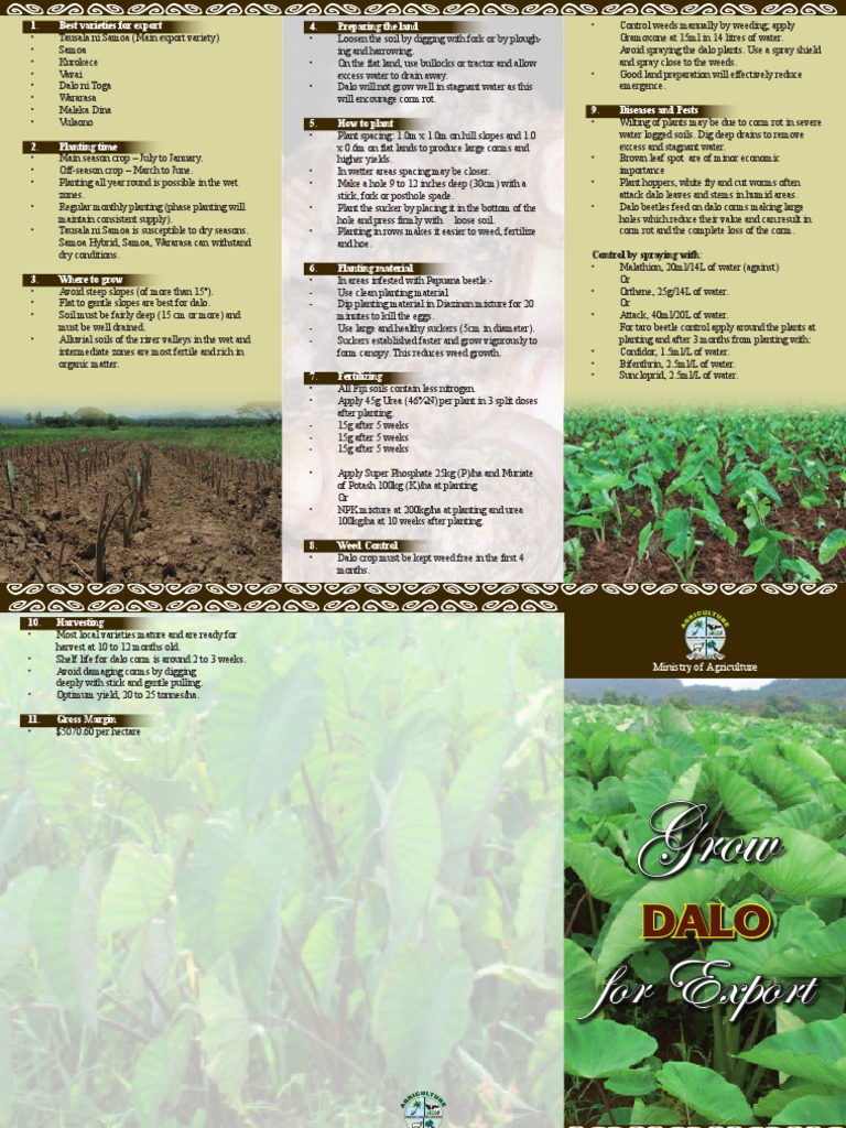 Dalo | PDF | Soil | Weed