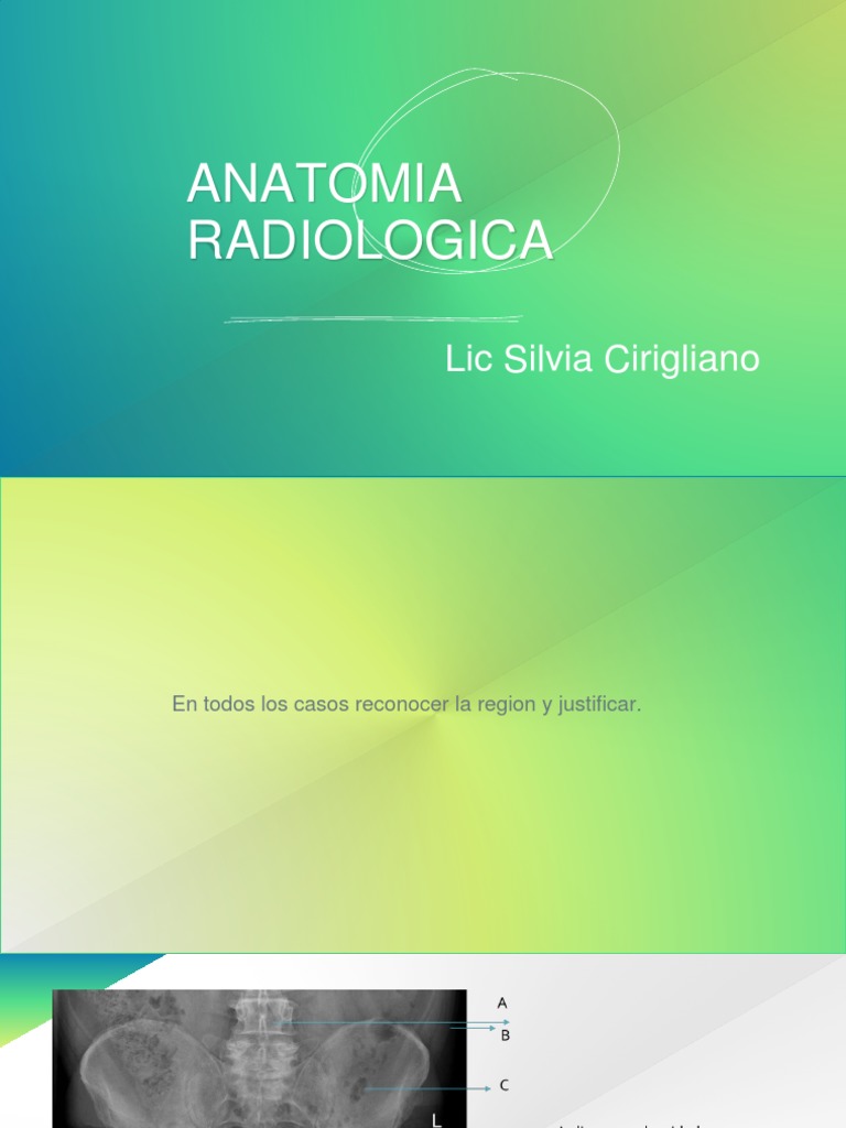 1.1 Eutm Ari 2023 | PDF