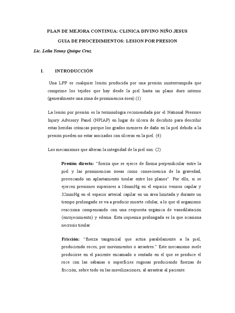 Plan de Mejora Continua LPP - Lelia | PDF | Herida | Piel